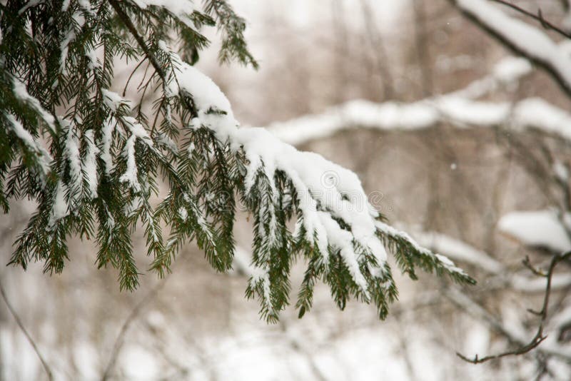 Heavy Snow in Moscow during Winter Stock Image - Image of perfect ...