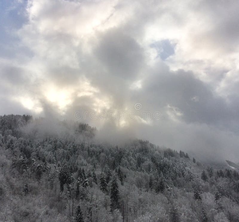 When the heavy snow paused stock photo. Image of tree - 107617522