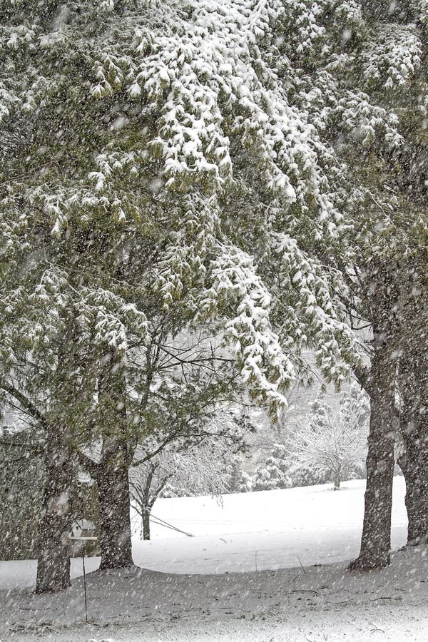 Overloading Snow Stock Photos - Free & Royalty-Free Stock Photos from ...