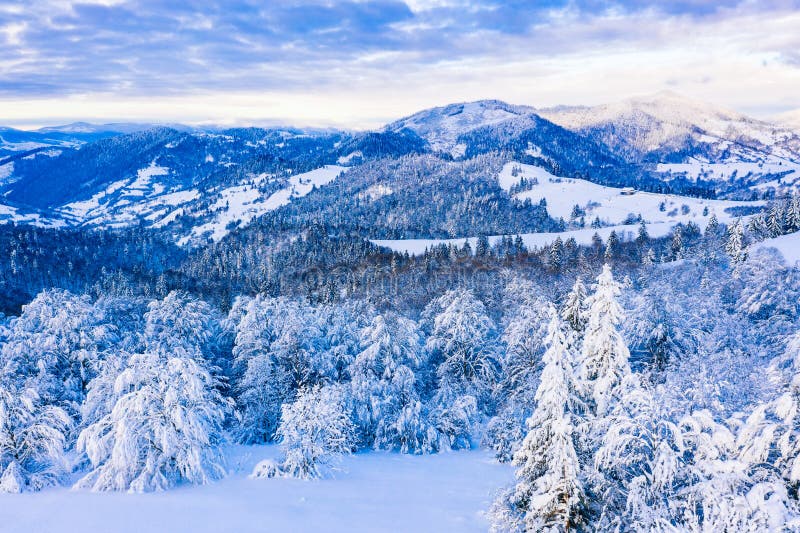 Heavy Snow on Tree Branches on Hills, Winter Landscape. Adventure in ...