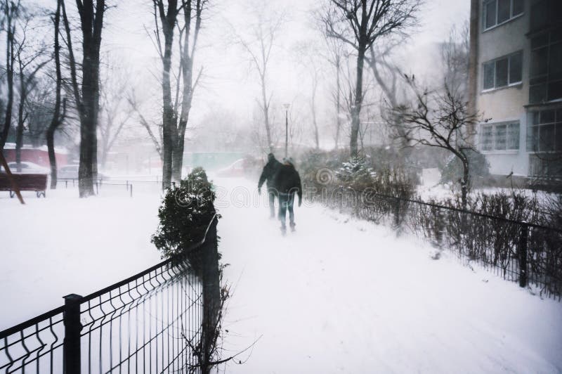 Heavy Snowfall, Very Heavy Snow Fell.. Editorial Photography - Image of ...