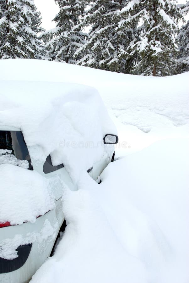 Heavy snowfall stock image. Image of nature, severe, snow - 8483007
