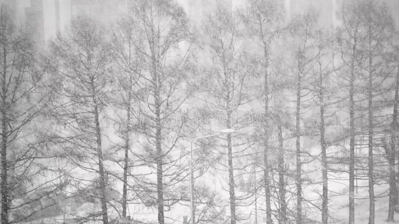 Heavy Snowfall on the Background of Forest and Modern City. Slow Motion ...