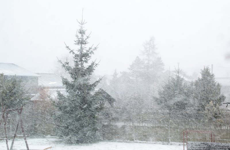 Heavy Snowfall. View from the Window To the Backyard Stock Image ...
