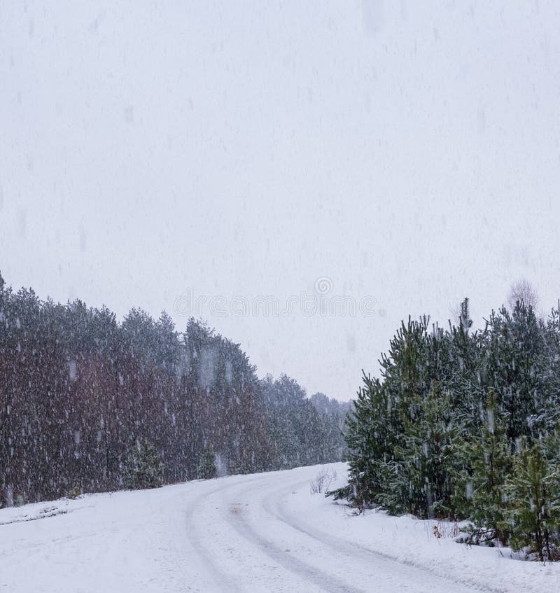 Heavy snowfall in the way stock photo. Image of nature - 209306048