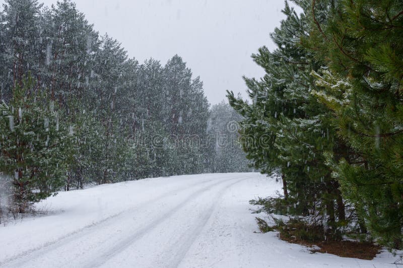 Heavy snowfall in the way stock image. Image of winter - 209306061