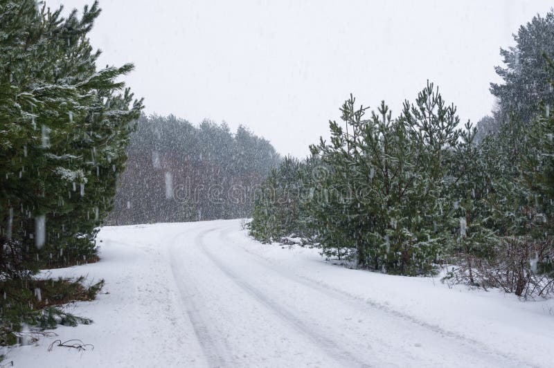 Heavy snowfall in the way stock photo. Image of snowflakes - 209306138