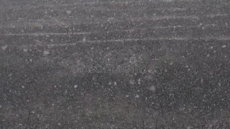 Heavy Snowfall Winter Day, Snow with Forest Slow Motion Stock Video ...