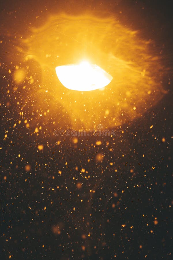 During Heavy Snowfall in Winter, Lanterns Shine in the Park. Evening ...