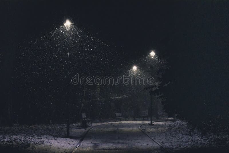 During Heavy Snowfall in Winter, Lanterns Shine in the Park. Evening ...