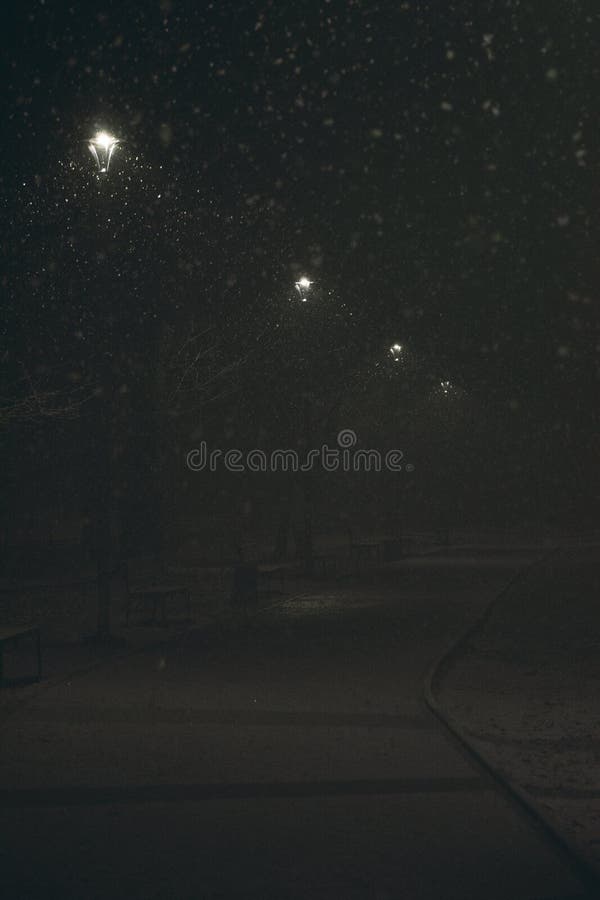 During Heavy Snowfall in Winter, Lanterns Shine in the Park. Evening ...