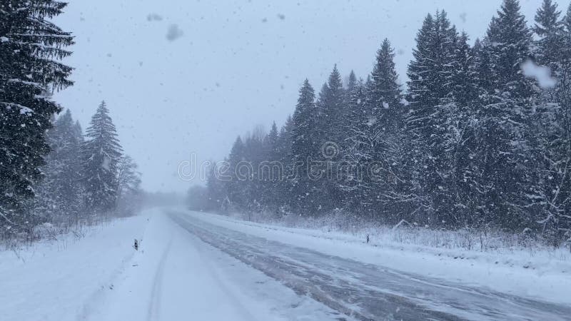Heavy Snowfall on a Winter Road in the Forest Stock Footage - Video of ...