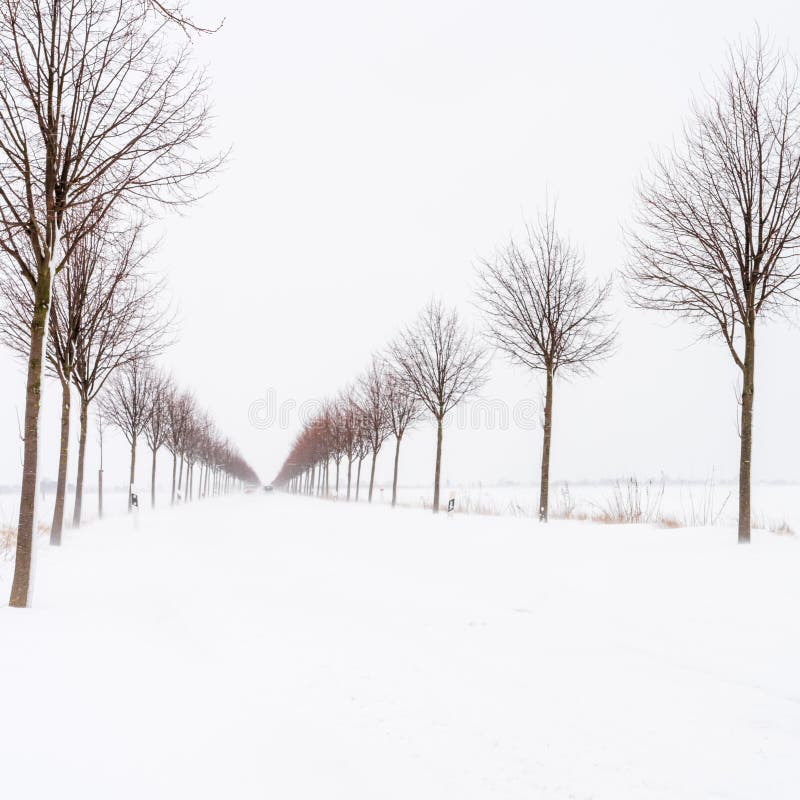 A Heavy Snowstorm on the Road on a Cold Winter Day Stock Photo - Image ...