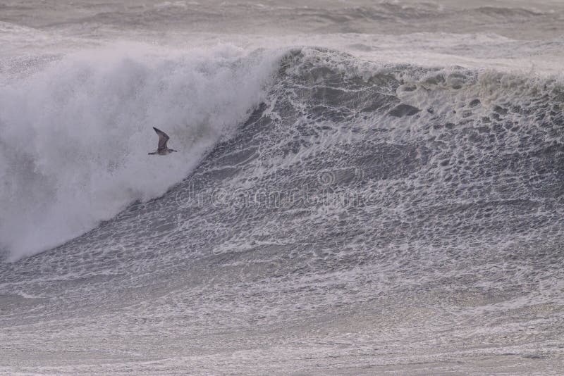 Heavy storm sea wave stock image. Image of beach, flow - 257698871
