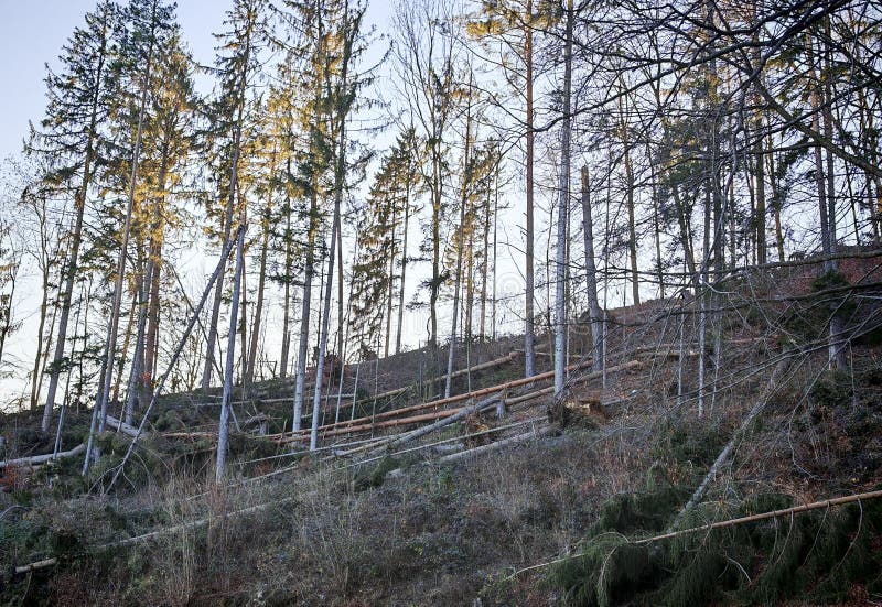 Heavy Storms As Weather Conditions Stock Photo - Image of change ...