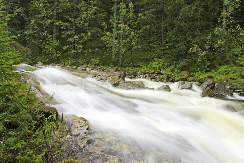 Heavy stream stock photo. Image of waterfall, granvin - 10832578
