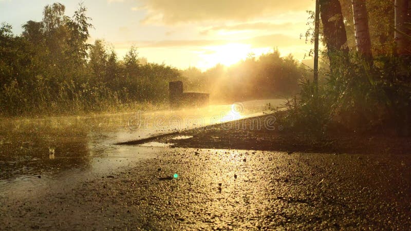 Heavy summer rain stock video. Video of splashing, outdoor - 261435285