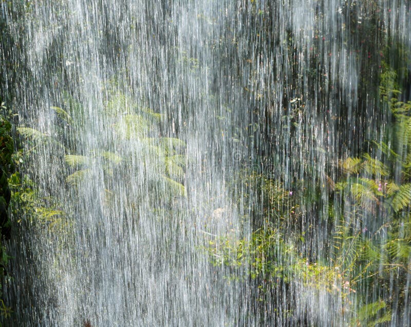 Heavy Tropical Rain, Rainstorm in the Jungle Close-up Stock Photo ...