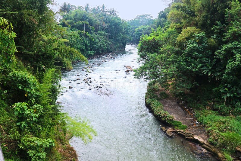 Heavy Water from River Flow Stock Photo - Image of watercourse, spring ...