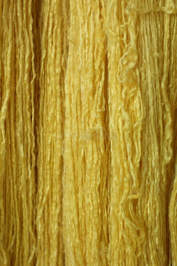 Seda cruda imagen de archivo. Imagen de costura, modelo - 36455963