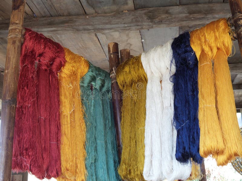 Seda cruda imagen de archivo. Imagen de capullo, thread - 36455973