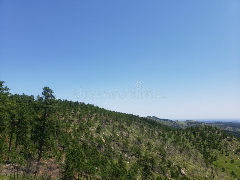 Heddy Draw Overlook, Custer State Park, South Dakota Stock Image ...