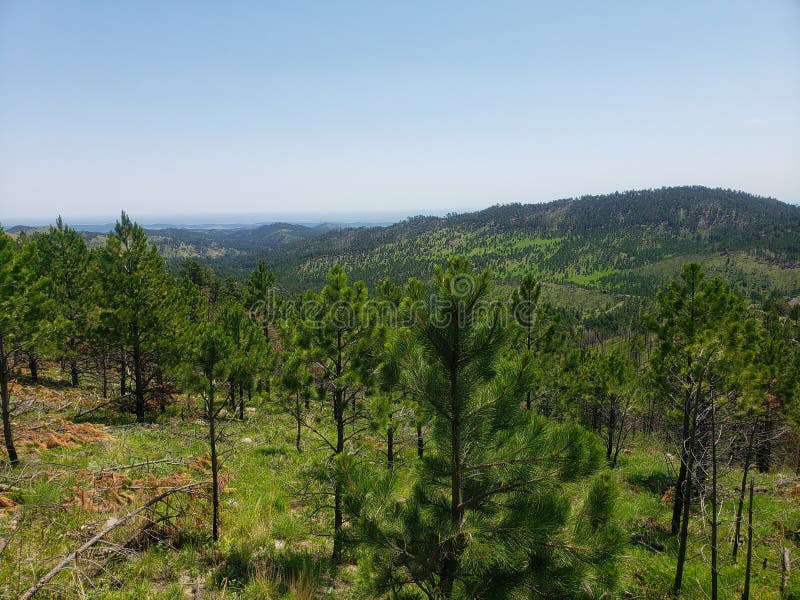 Heddy Draw Overlook, Custer State Park, South Dakota Stock Photo ...