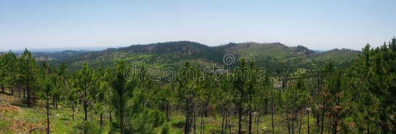 Heddy Draw Overlook, Custer State Park, South Dakota Stock Image ...