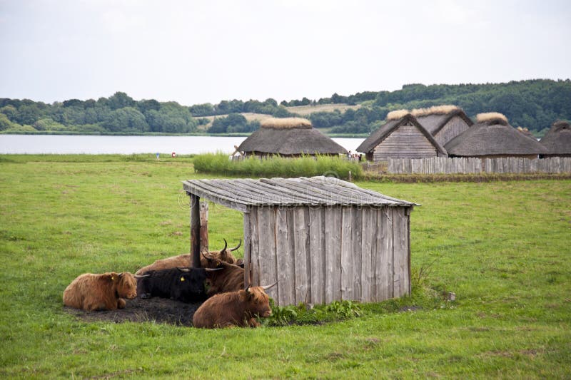Hedeby stock photo. Image of prehistoric, thatched, history - 39747192