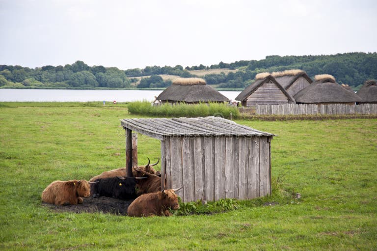 Hedeby stock photo. Image of prehistoric, thatched, history - 39747192