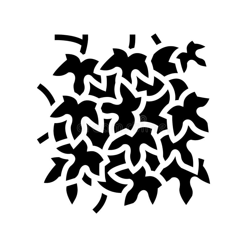 Hedera Helix Glyph Icon Vector Illustration Stock Illustration ...