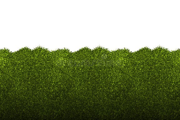 Hedge Design Stock Illustrations – 9,182 Hedge Design Stock ...