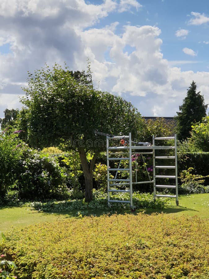 Hedge Gardener Trees Cutting Stock Image - Image of flower, leaf: 192249465