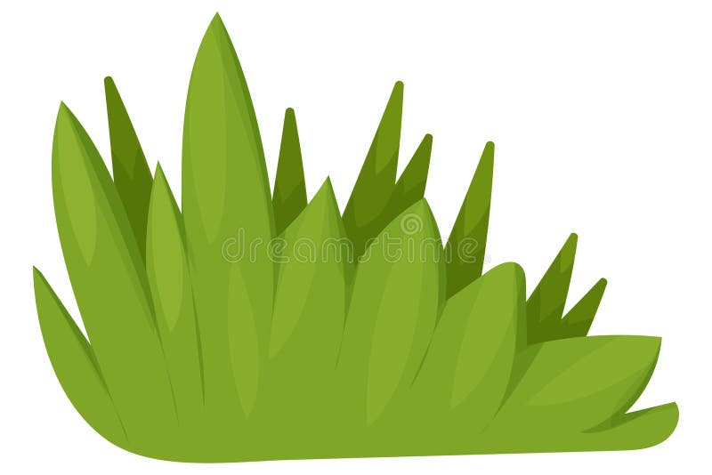 Hedge Green Bush Grass Forest Or Backyard Plant With Leaves In Cartoon Style Isolated On White