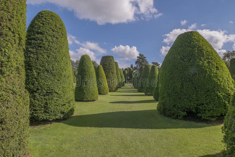 Hedge stock photo. Image of visitor, midlands, gardens - 40600408