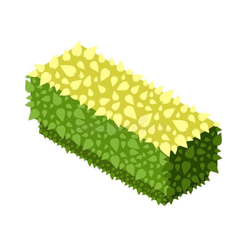 Hedge Isometric Icon stock illustration. Illustration of outdoor ...