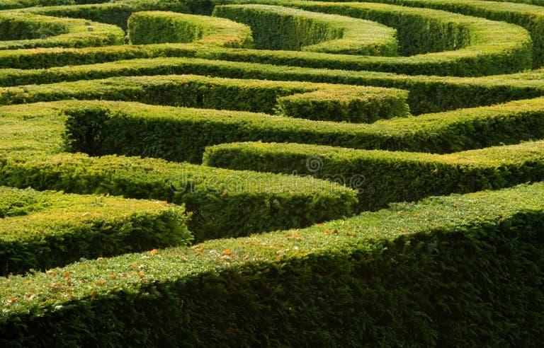 2,320 Hedge Maze Stock Photos - Free & Royalty-Free Stock Photos from ...