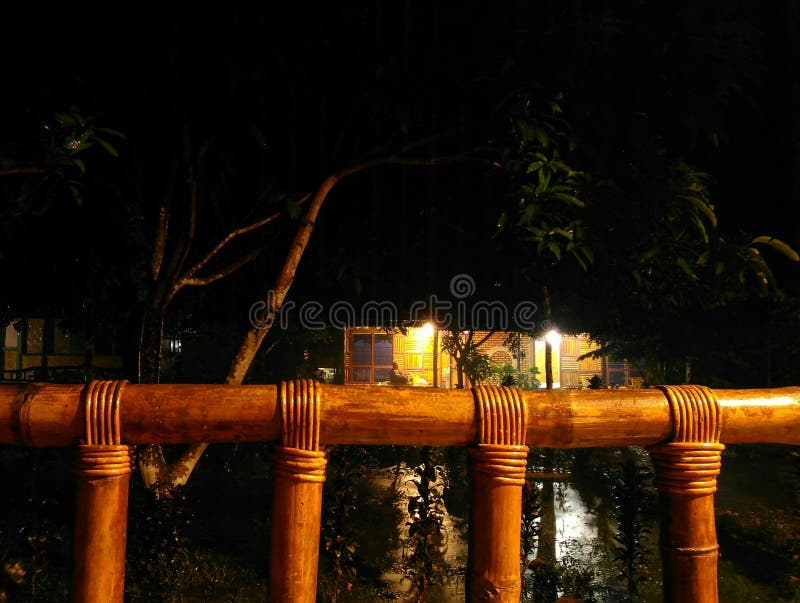 Hedge stock photo. Image of hedge, brown, tree, night - 77198178