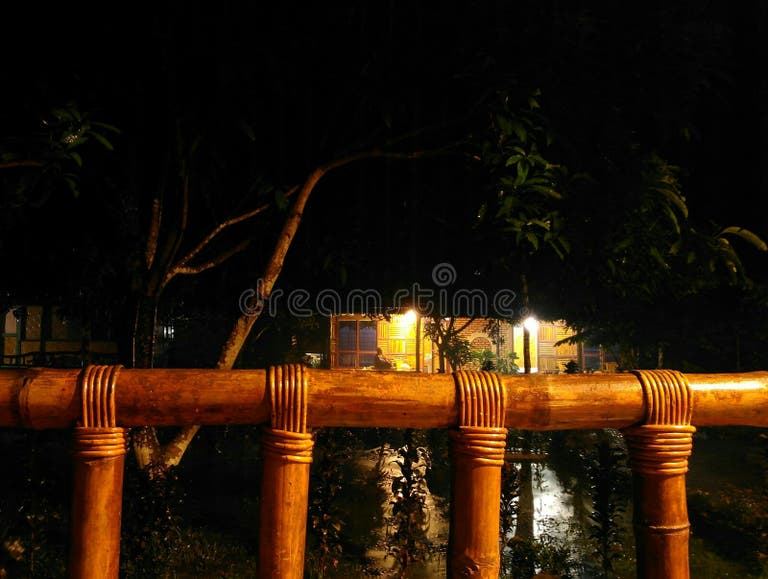 Hedge stock photo. Image of hedge, brown, tree, night - 77198178