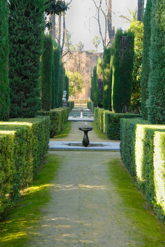 Hedge path stock image. Image of relaxation, cypress - 23284089