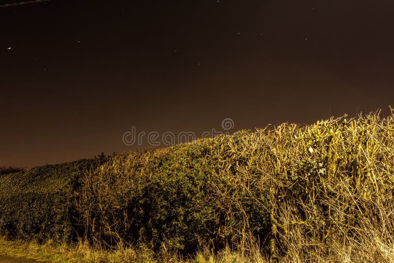 The Hedge at Night stock image. Image of village, standish - 109859839