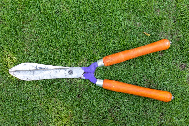 Hedge Trimmer High Angle View Laying in a Grass Stock Photo - Image of ...