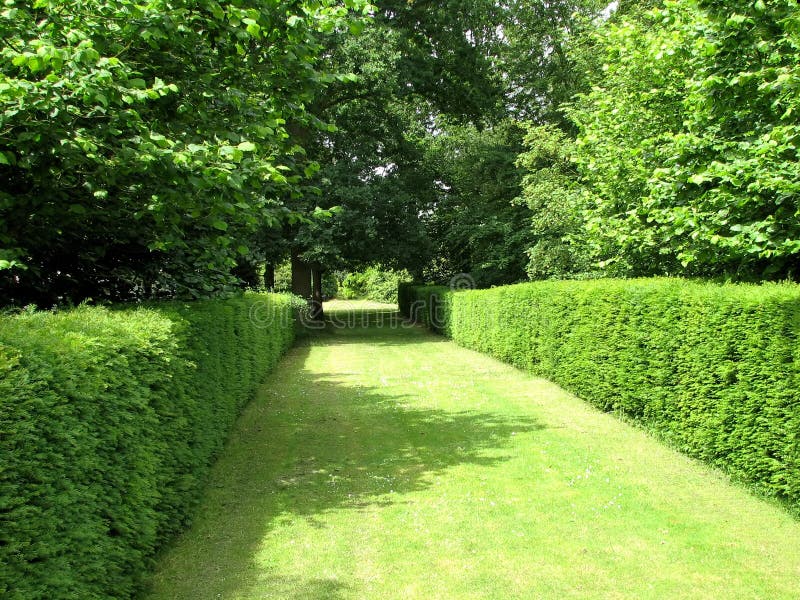 Hedged Walk stock image. Image of pathway, walkway, peace - 3134049