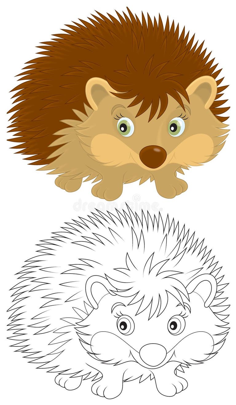 Hedgehog Clipart Stock Illustrations – 3,120 Hedgehog Clipart Stock ...