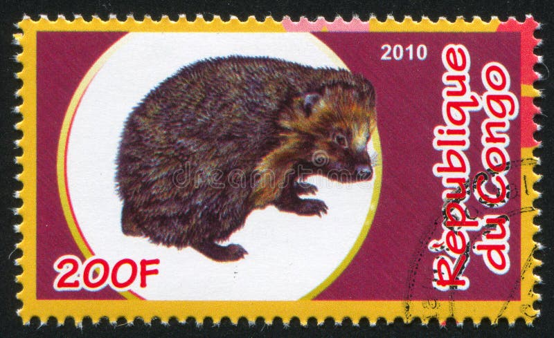 Hedgehog editorial stock image. Image of postage, message - 321963994