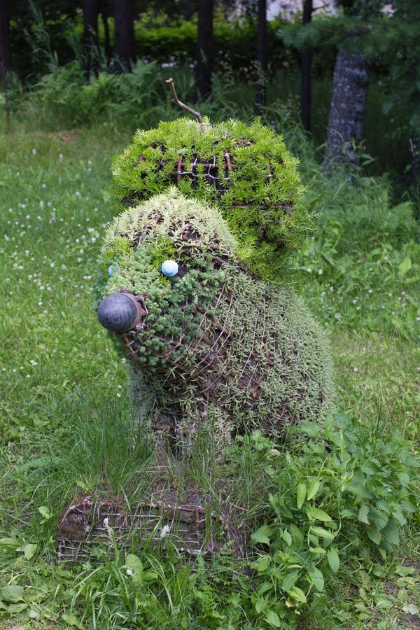 Hedgehog Figure Made of Plant Stock Image - Image of summer, landscape ...