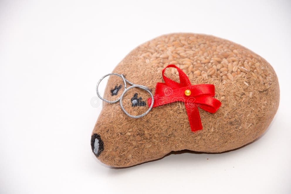 Hedgehog with seed grain stock image. Image of harvest - 63749471