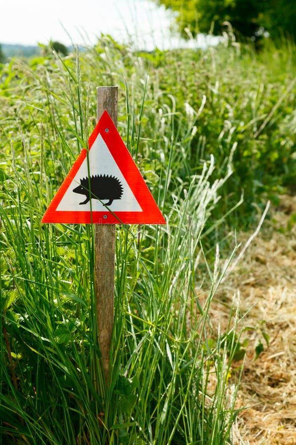 Hedgehog sign stock photo. Image of roadside, road, warning - 32067916