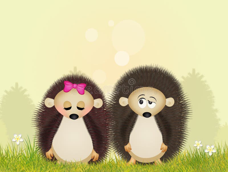 Couple of Hedgehogs in Love Stock Illustration - Illustration of love ...
