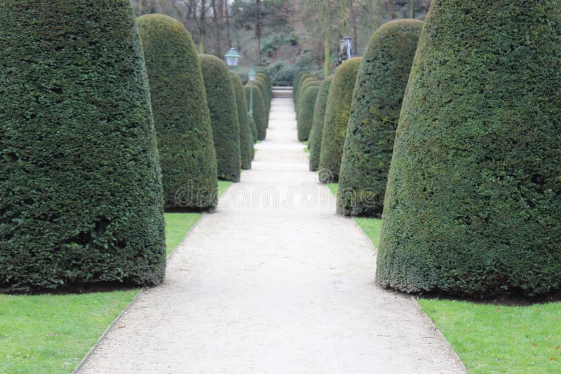 Hedges in a garden stock image. Image of trail, shrubs - 183627081